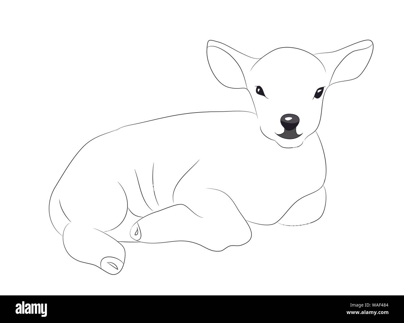 lamb lies drawing lines, vector, white background Stock Vector Image ...