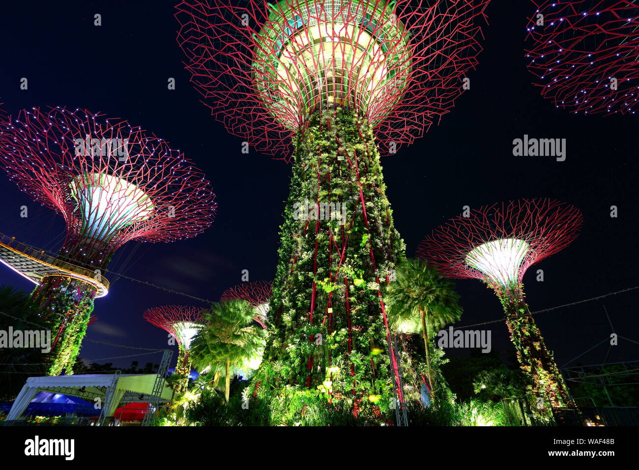 Supertrees, trees are illuminated by different lights in Gardens by the ...