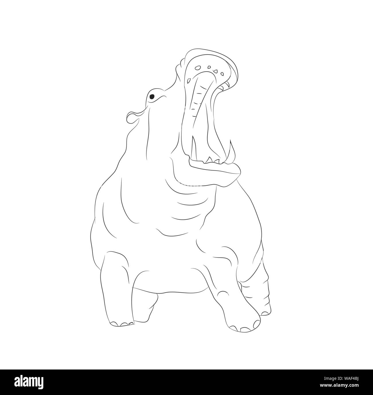 hippo is worth drawing lines, vector, white background Stock Vector ...