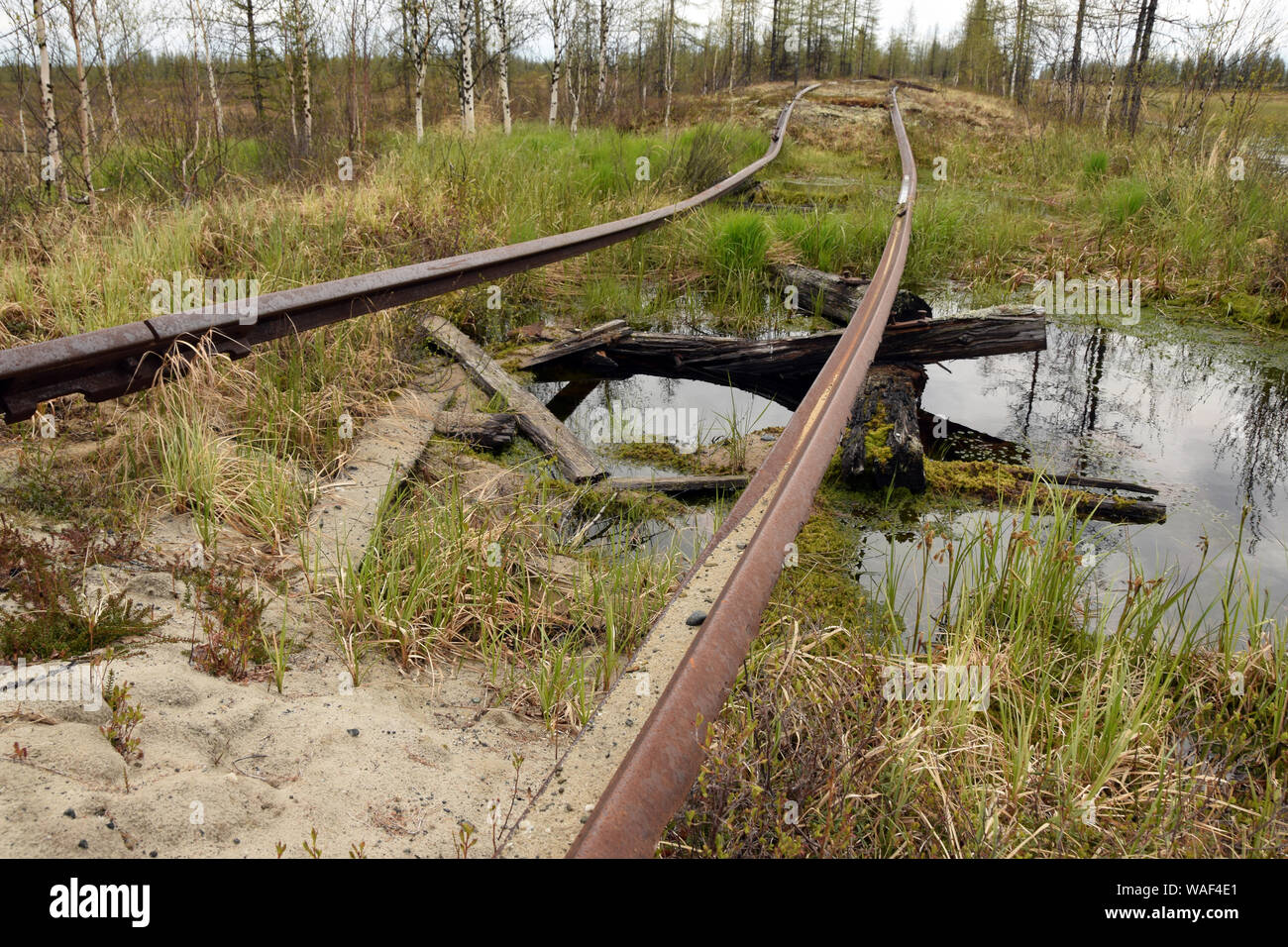 The railway track. The remains of the "Dead Road" built by the slave ...