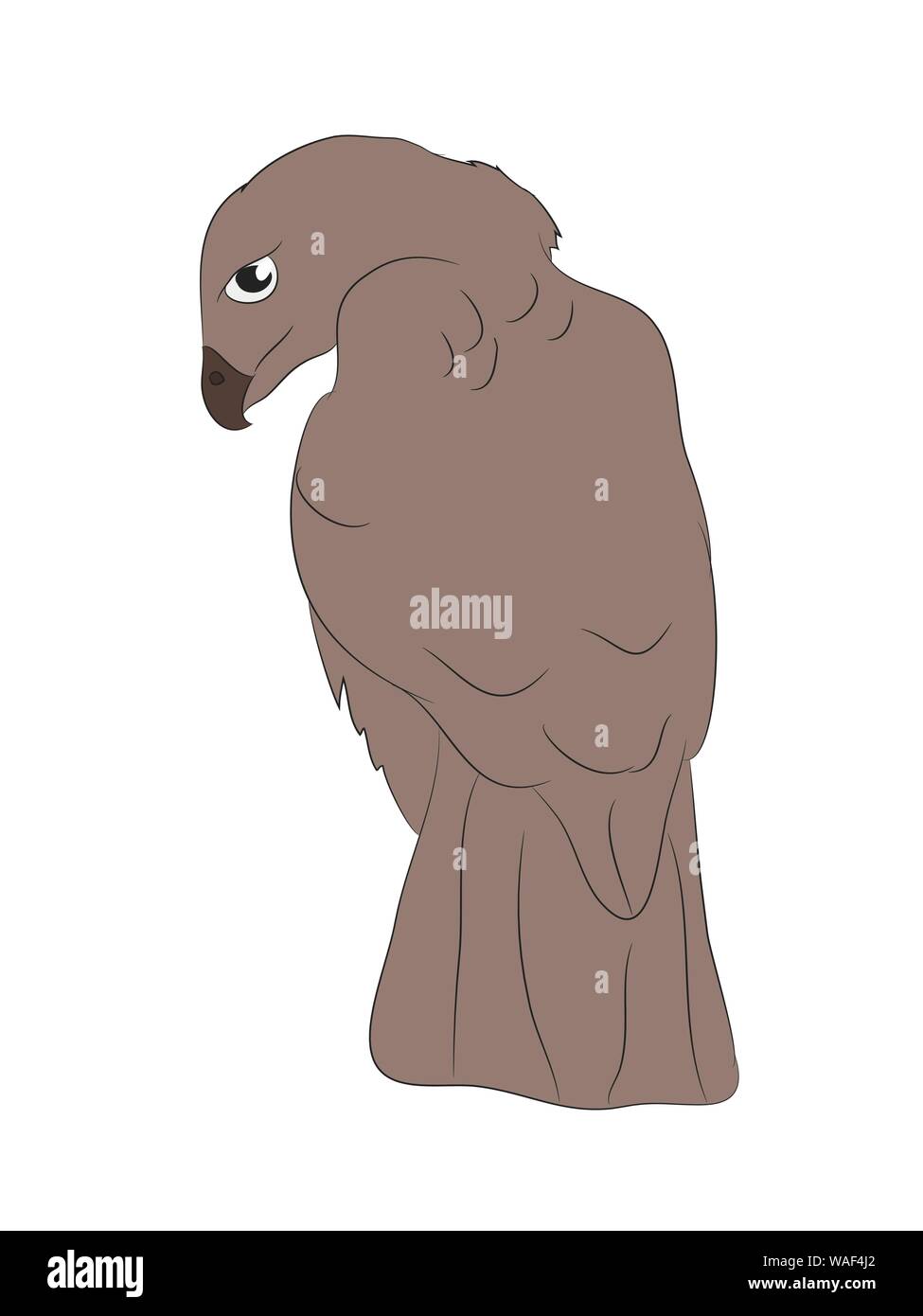 Eagle sits in color pattern, vector, white background Stock Vector ...