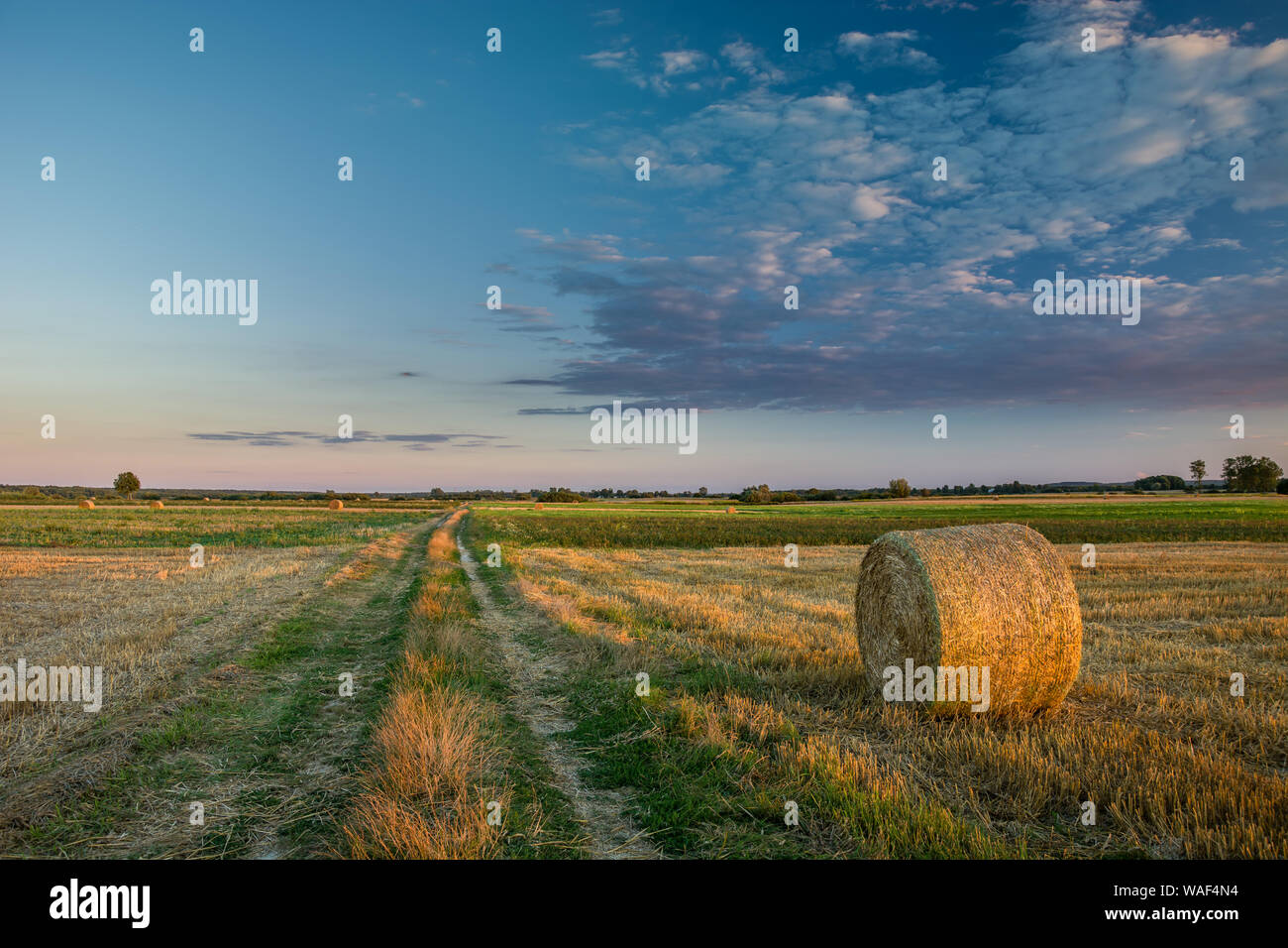 Dirt road night hi-res stock photography and images - Alamy