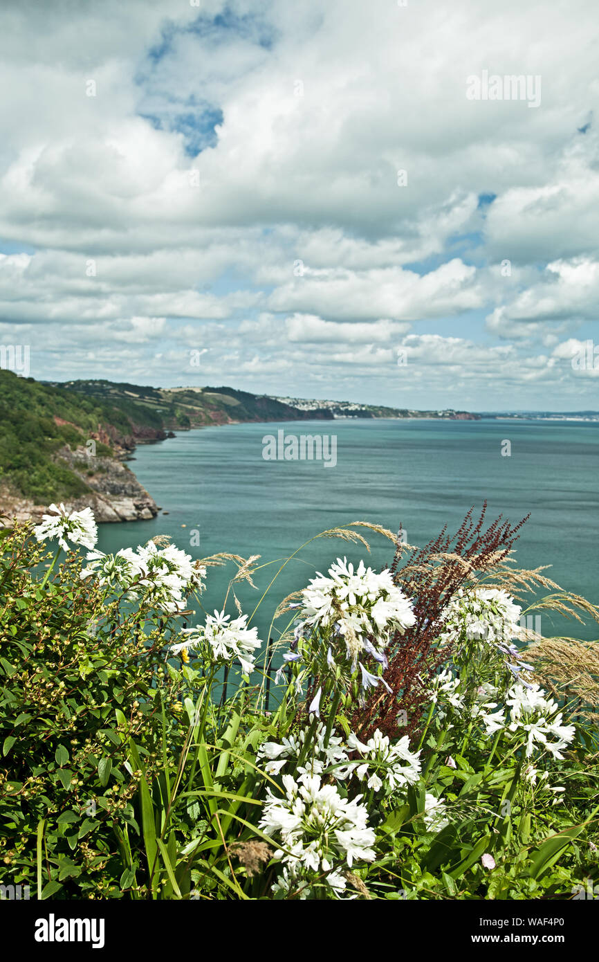Devon cliffs viewpoint devon hi-res stock photography and images - Alamy