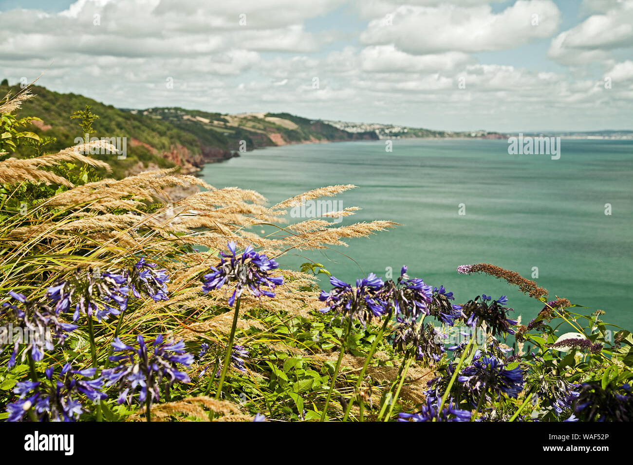 Babbacombe hi-res stock photography and images - Alamy