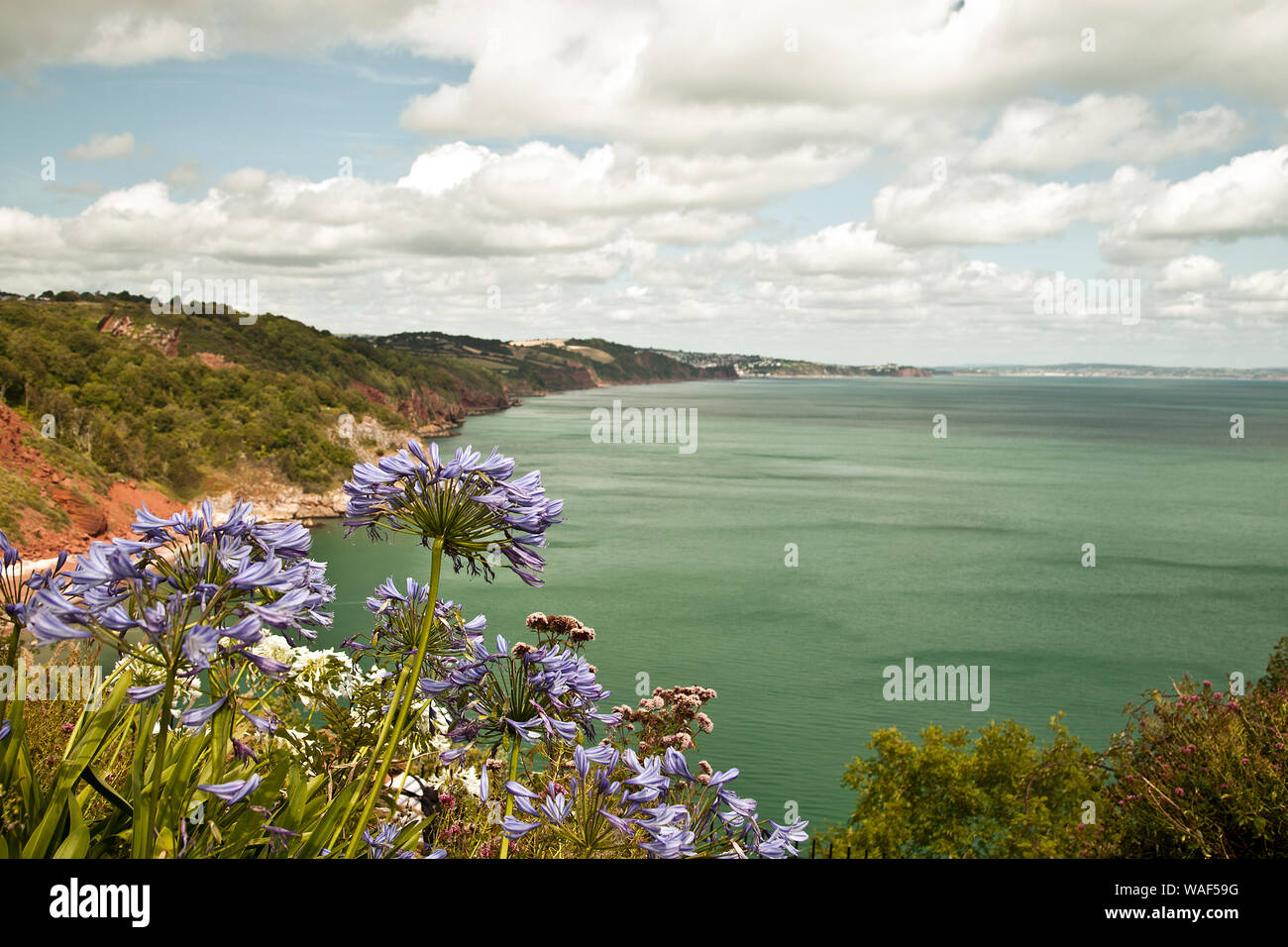 Babbacombe hi-res stock photography and images - Alamy