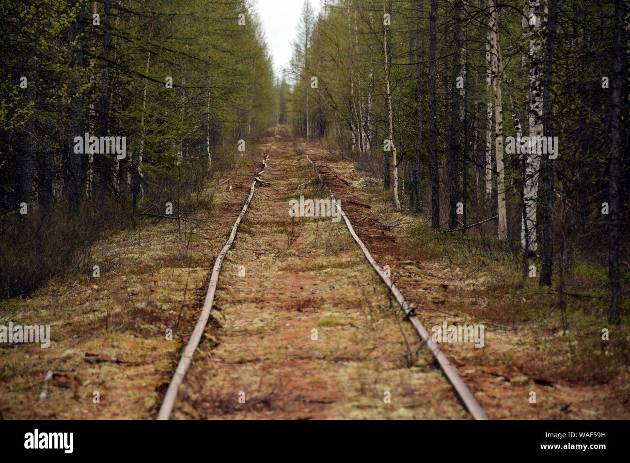 Death rail road hi-res stock photography and images - Alamy