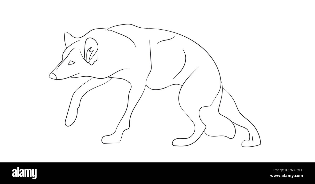 Wolf running silhouette hi-res stock photography and images - Alamy