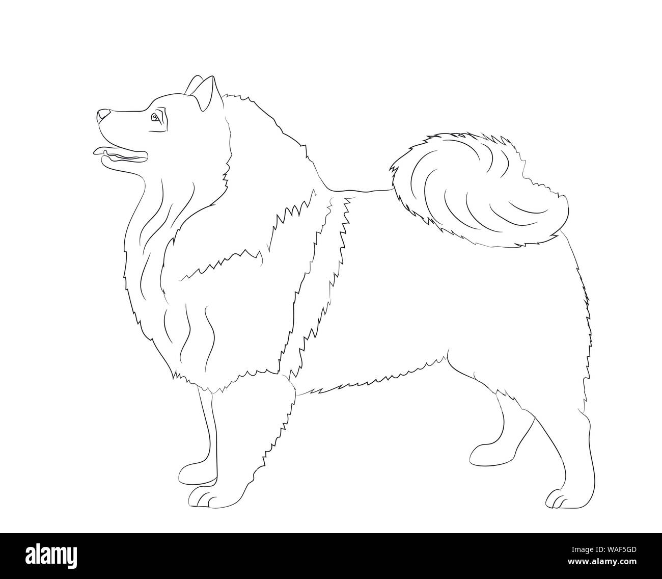 dog stands lines, vector, white background, dog stands Stock Vector ...
