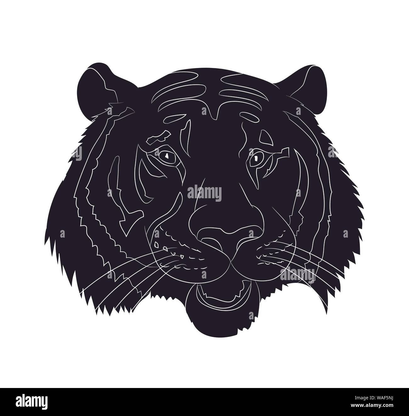 Tiger Drawing High Resolution Stock Photography and Images - Alamy