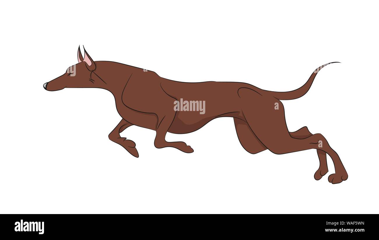 dog running, color, vector, white background Stock Vector Image & Art ...