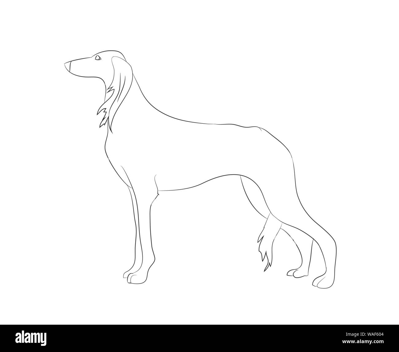 dog stands lines, vector, white background, dog stands Stock Vector ...