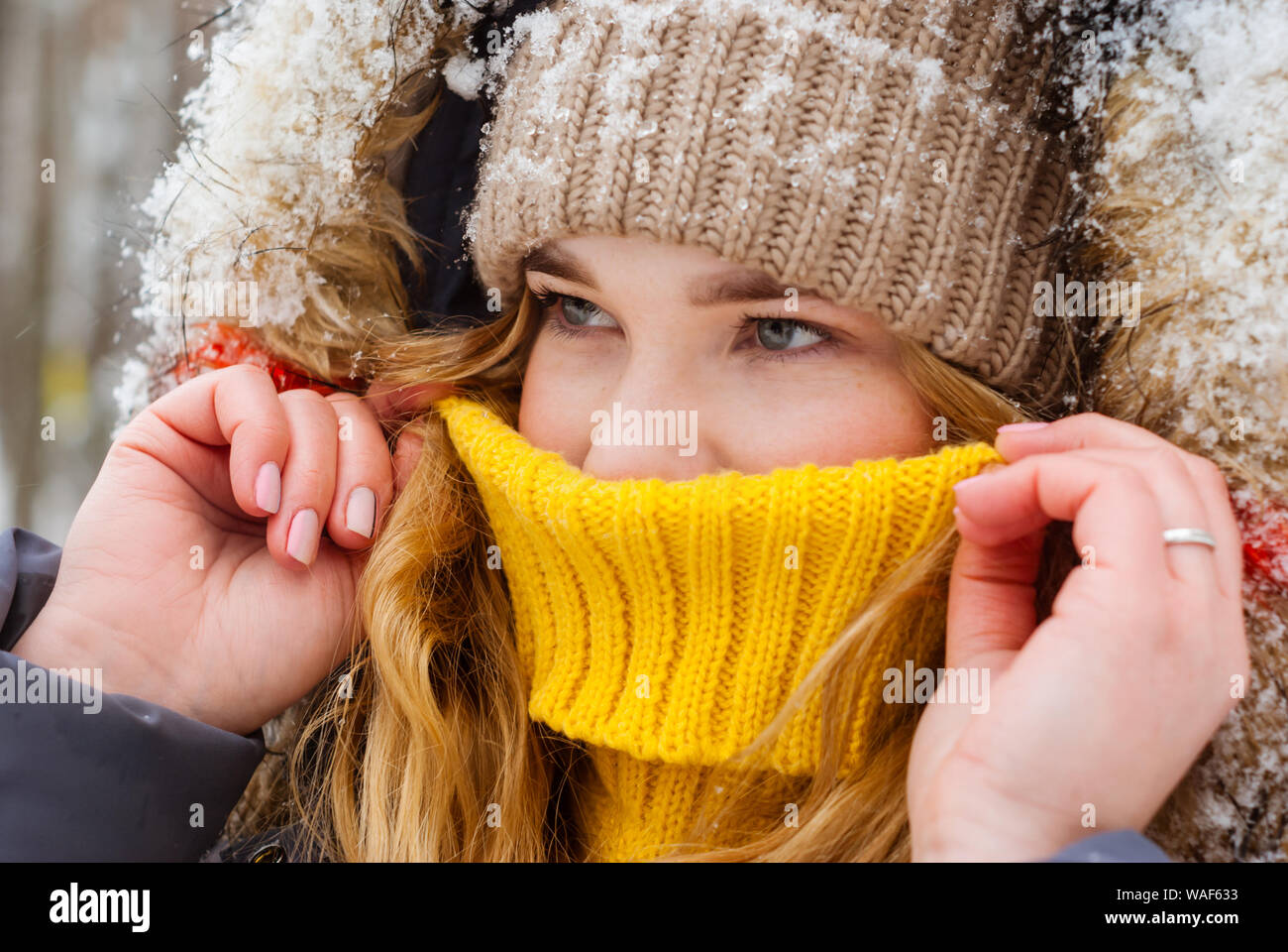 Cooling collar hi-res stock photography and images - Alamy