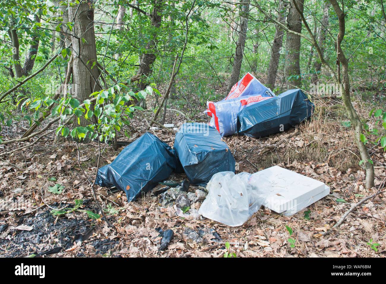 Refuse sacks in the forest hi-res stock photography and images - Alamy