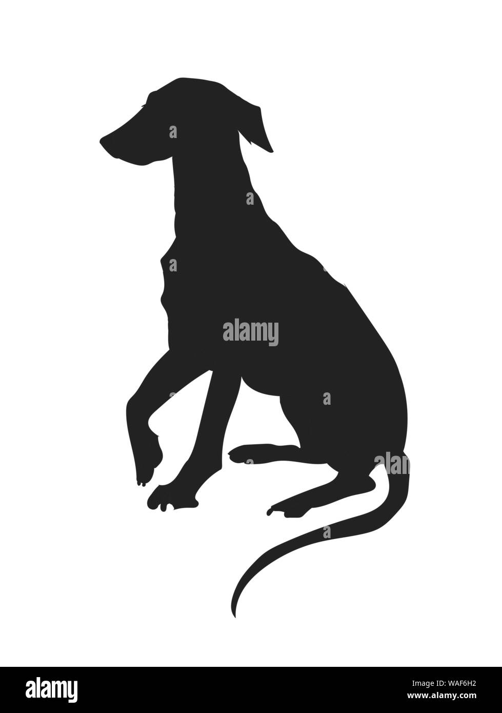 dog sitting, silhouette, vector, white background Stock Vector Image ...