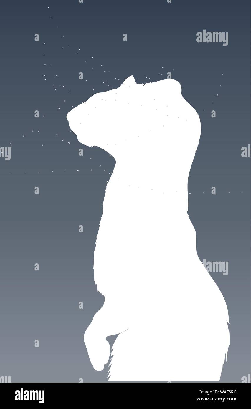 ferret or mink portrait vector illustration, drawing color, vector ...