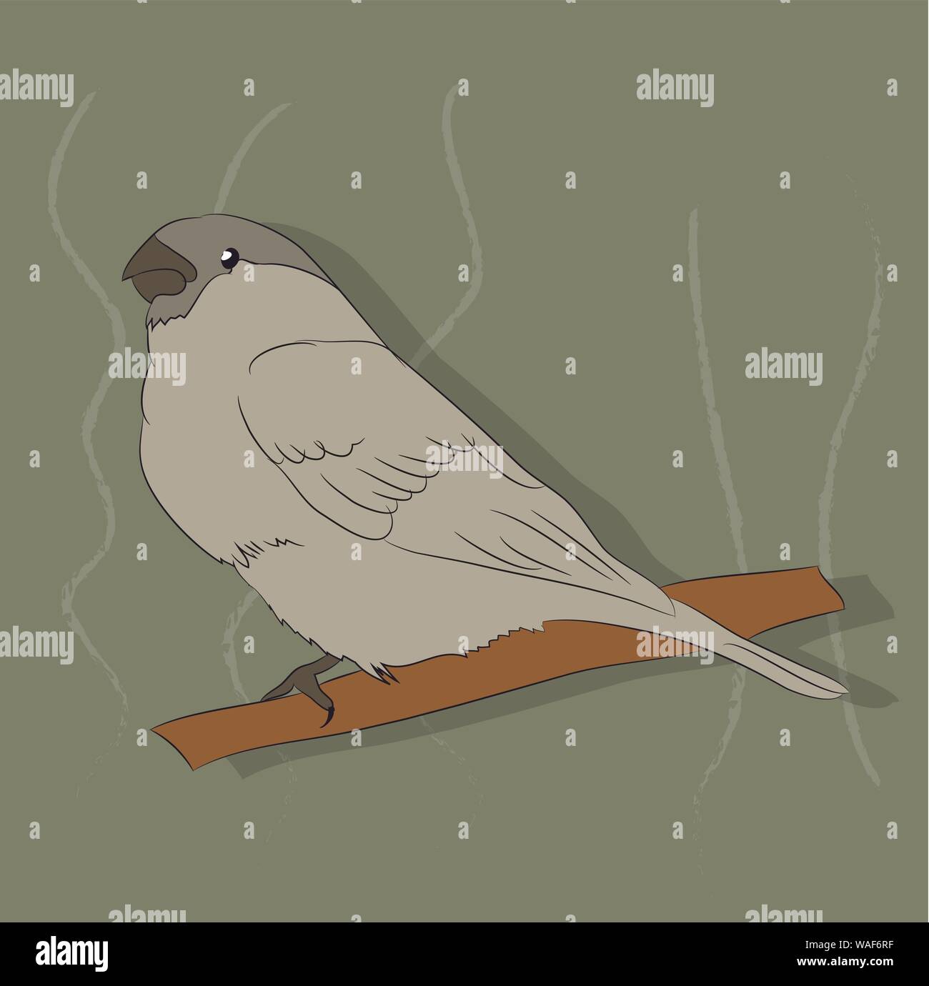 Beautiful white birds sitting Stock Vector Images - Alamy