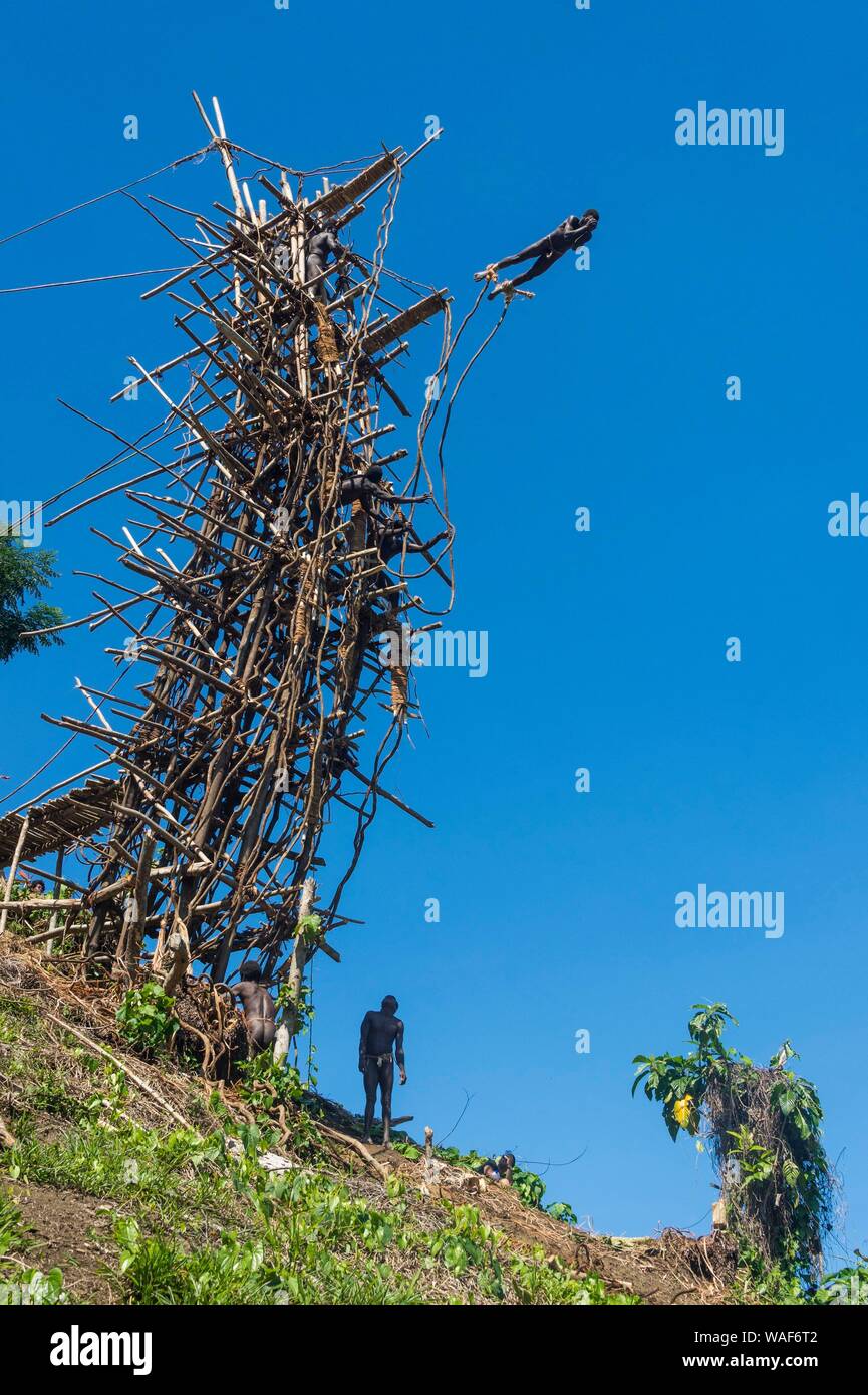 Man jumping from a bamboo tower, Pentecost land diving, Pentecost ...