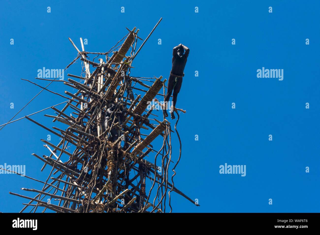 Man jumping from a bamboo tower, Pentecost land diving, Pentecost ...