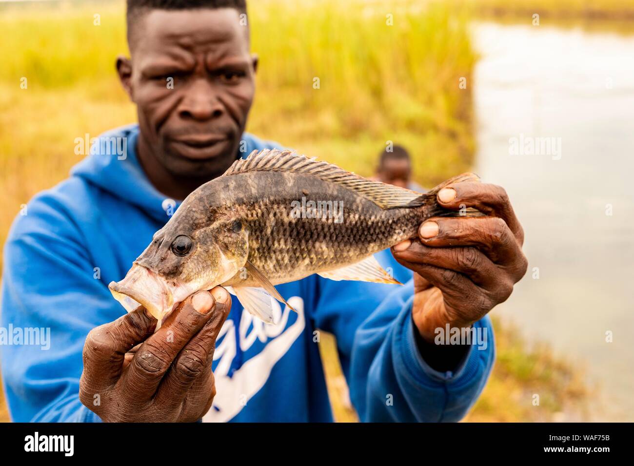 African shows caught fish hi-res stock photography and images - Alamy