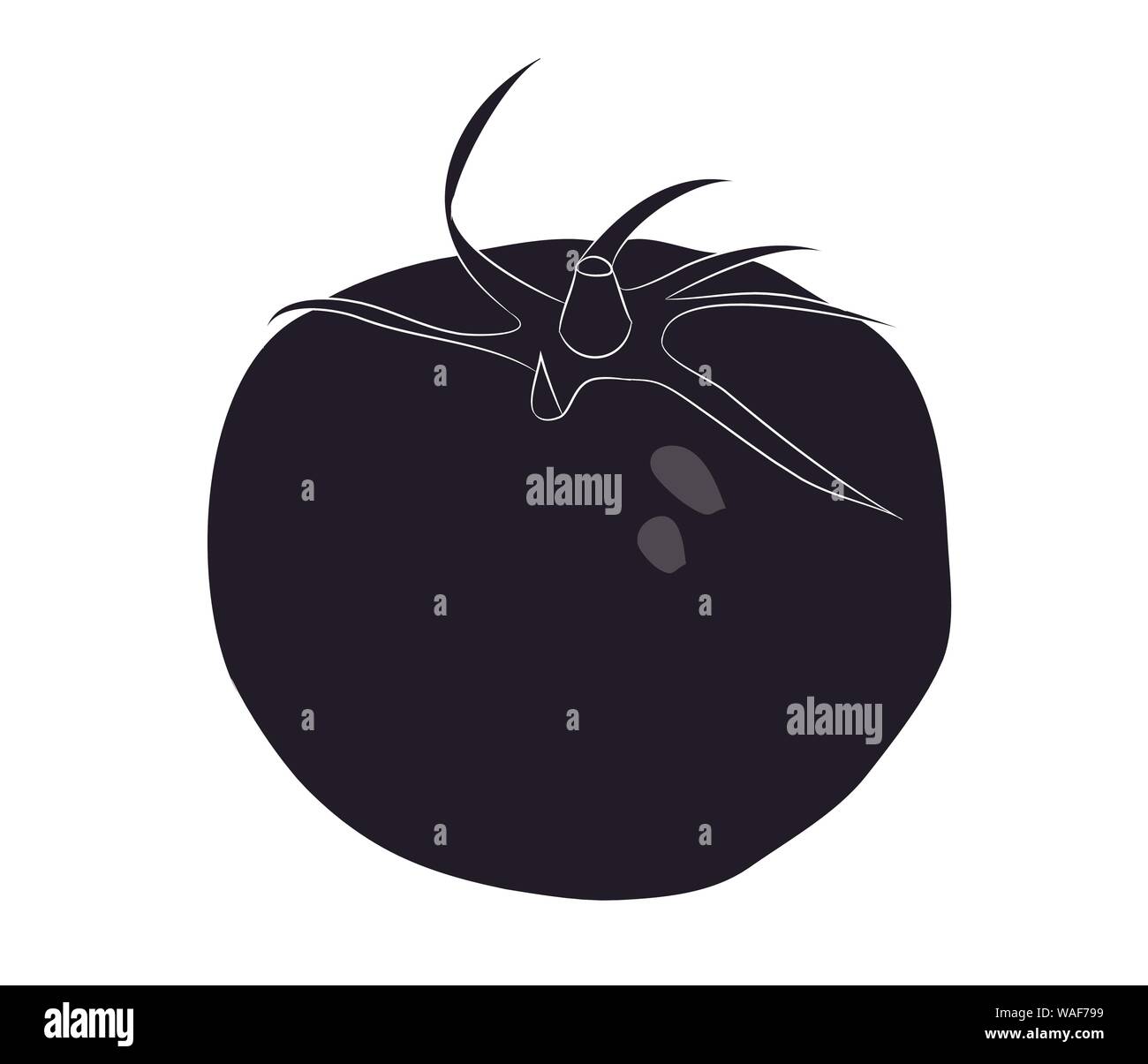 vegetables and fruits drawing silhouette, vector, white background ...