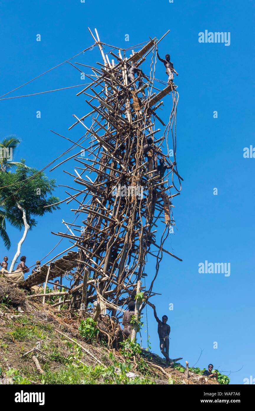 Pentecost land diving hi-res stock photography and images - Alamy