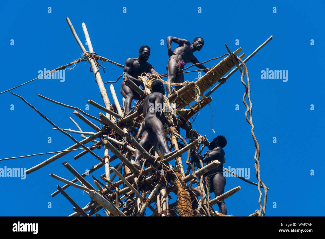 Land diving pentecost hi-res stock photography and images - Alamy