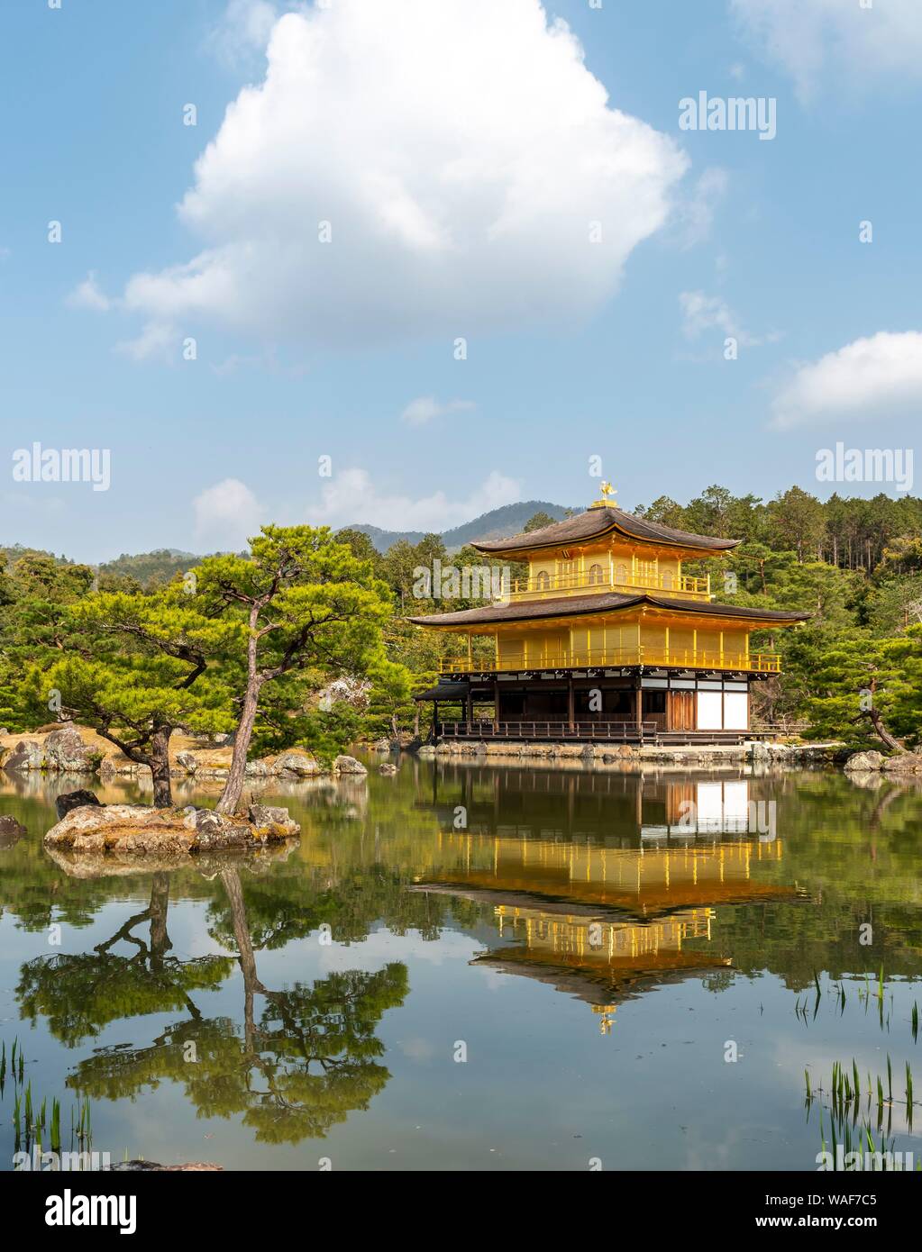 Golden Pavilion Temple, Kinkaku-ji, Kyoto, Japan Stock Photo - Alamy