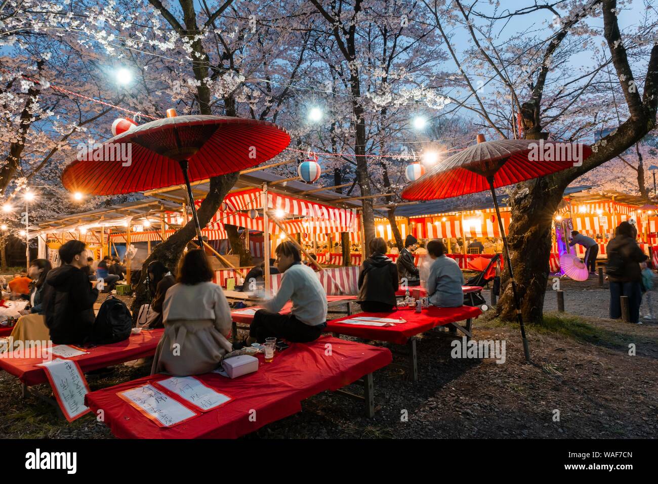 Japan Cherry Blossom Foods Book A Kyoto Spring Evening Cherry Blossom