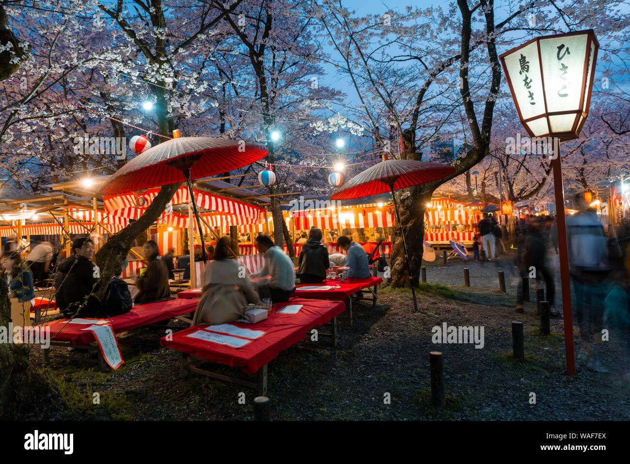 Hanami kyoto hi-res stock photography and images - Alamy