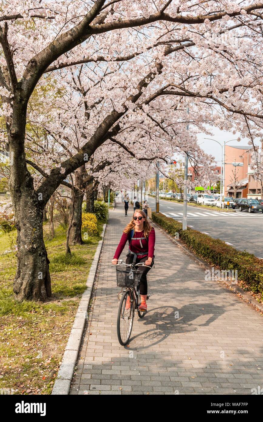 Female tourist rides bicycle hi-res stock photography and images - Alamy