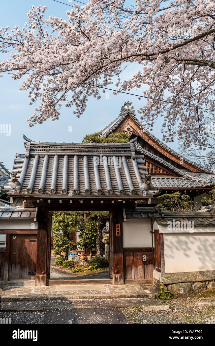 Building in Shinnyo-do Temple, Japanese cherry blossom, Kyoto, Japan ...