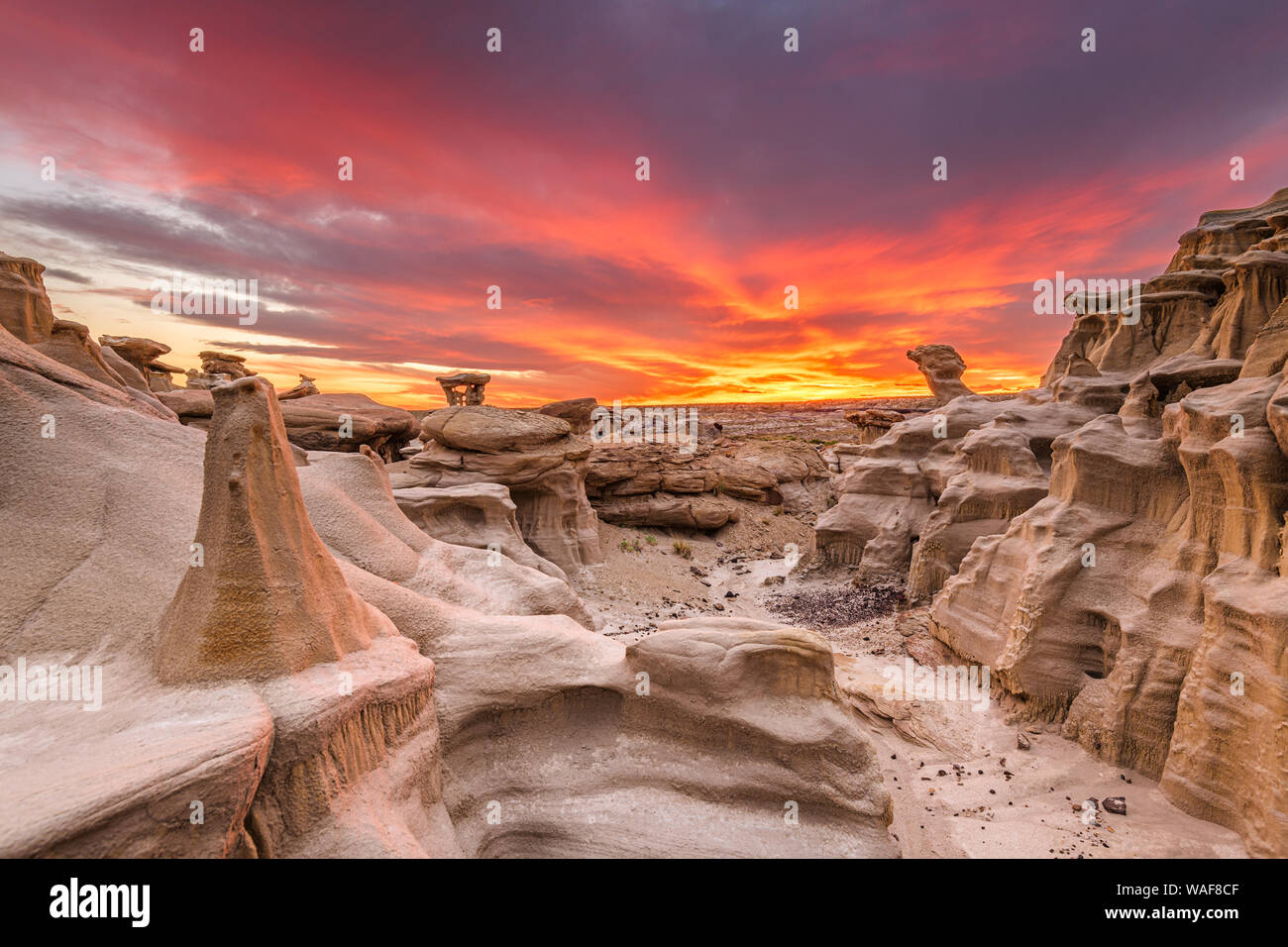Bisti/De-Na-Zin Wilderness, New Mexico, USA at the Alien Throne rock ...