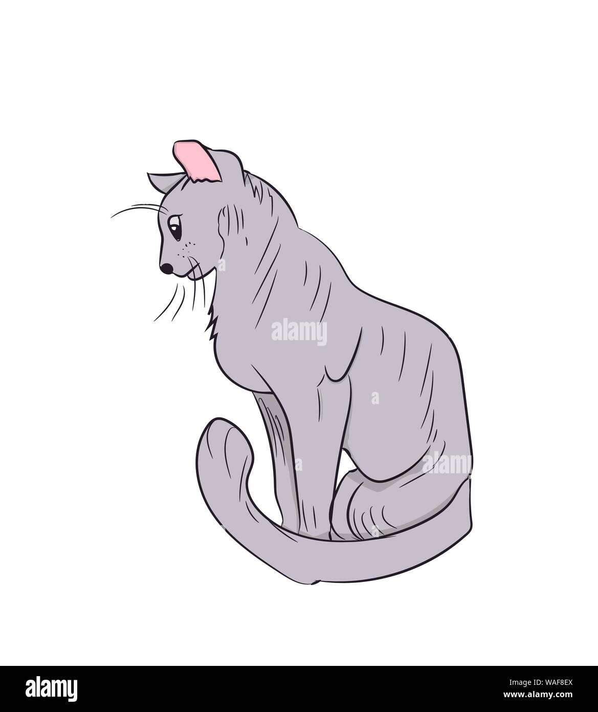 Kittens white background color Stock Vector Images - Alamy