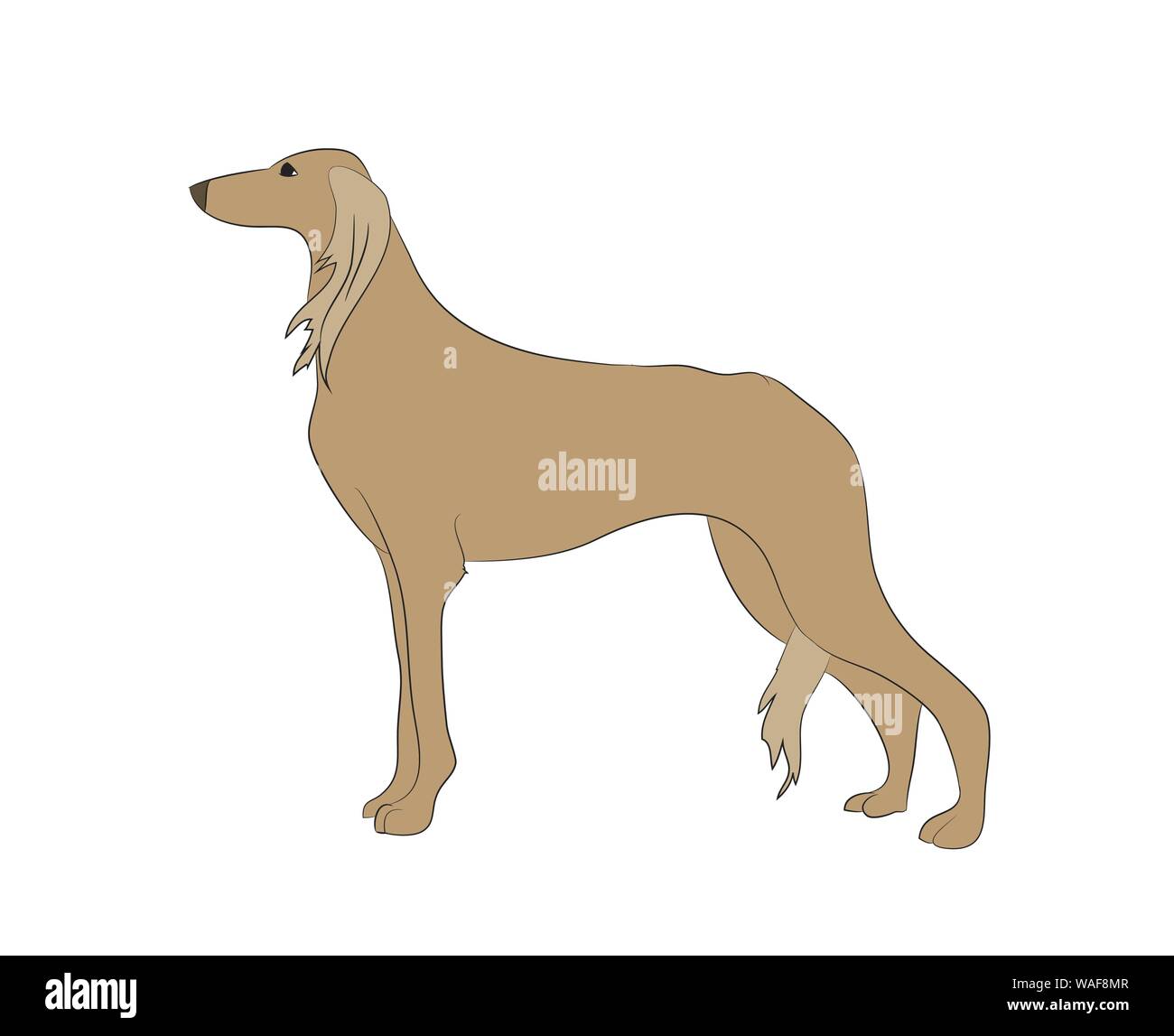 dog is a brown vector, White background Stock Vector Image & Art - Alamy