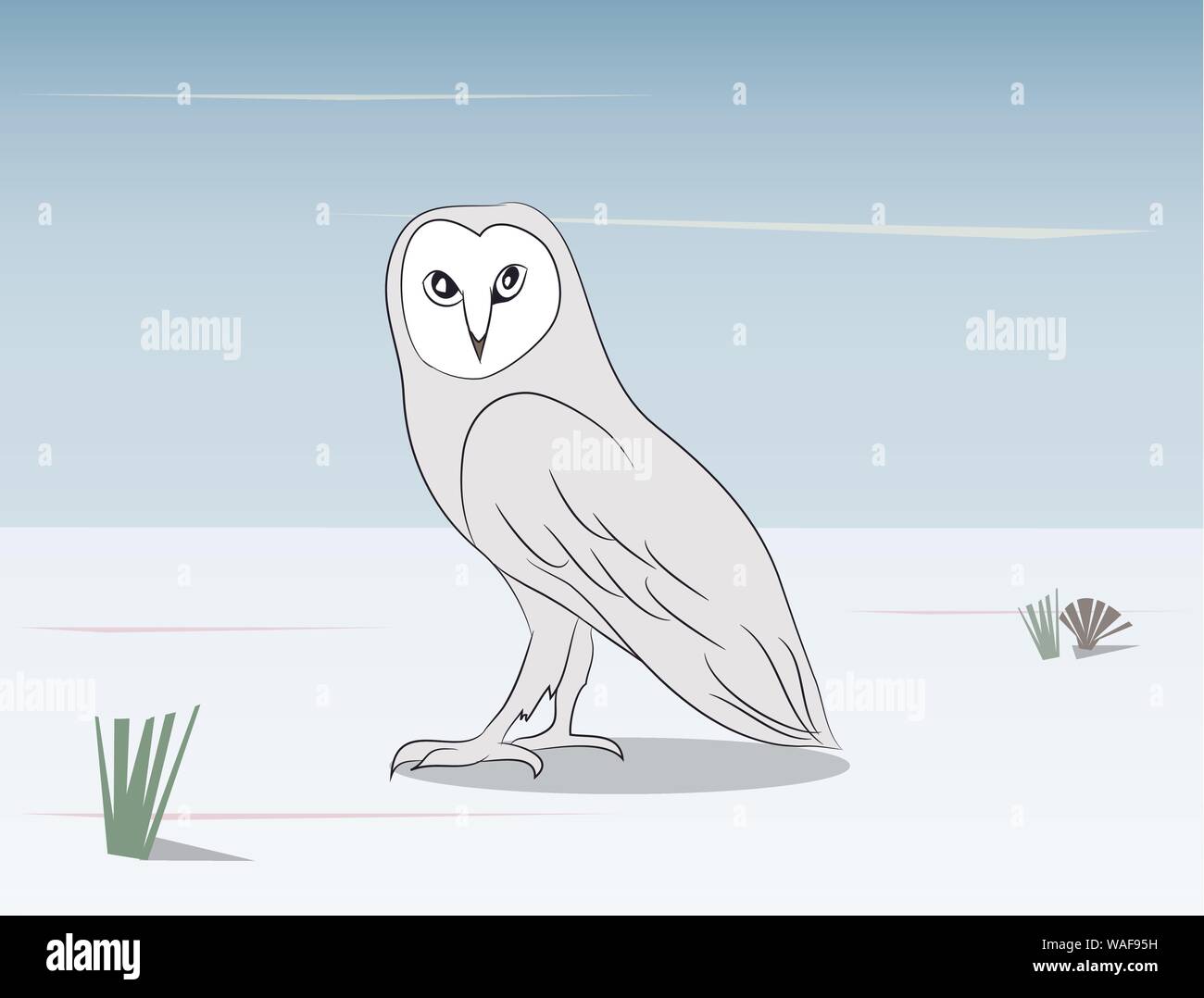 an owl stands in the nature, vector Stock Vector Image & Art - Alamy