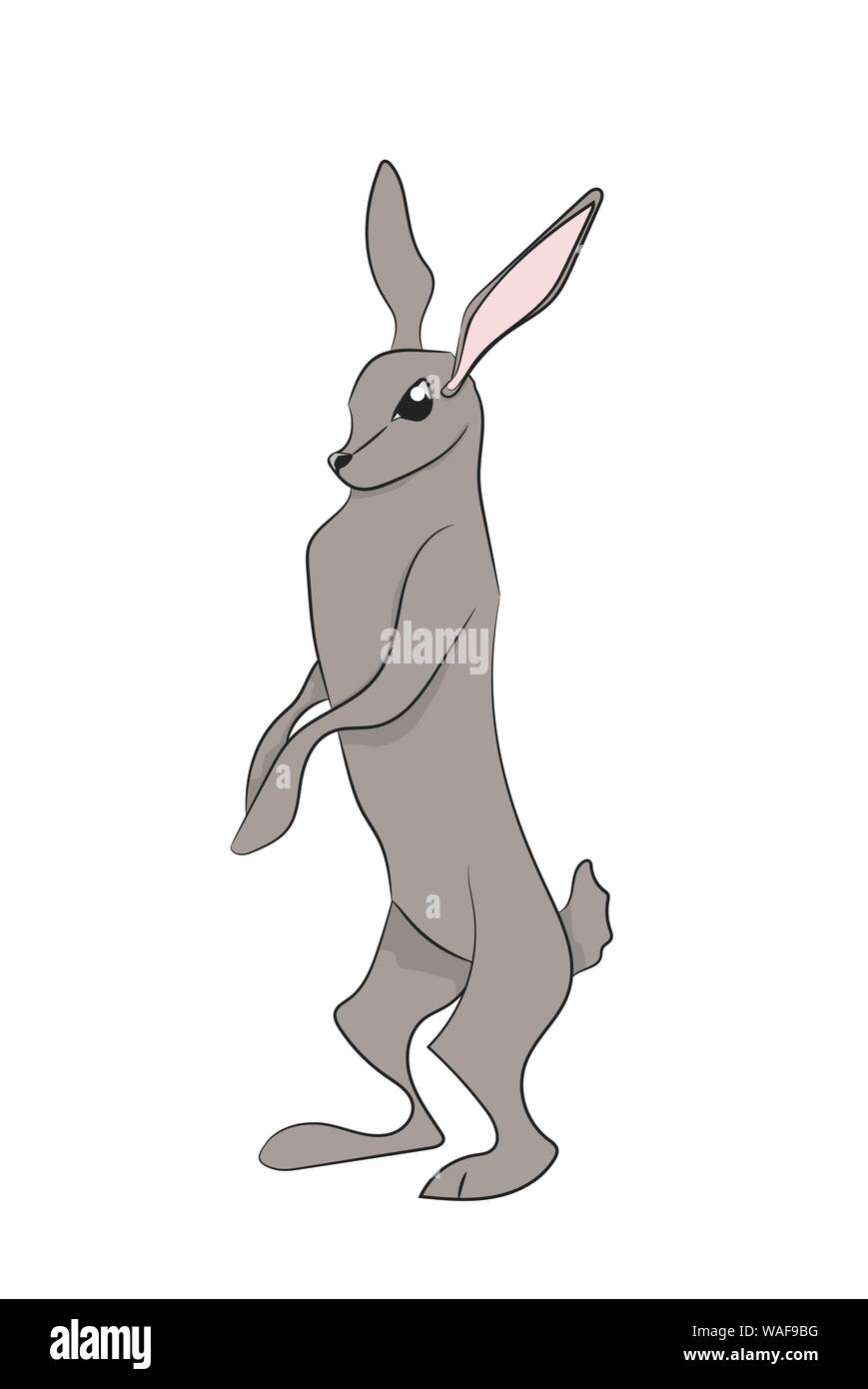 Rabbit Running Sequence