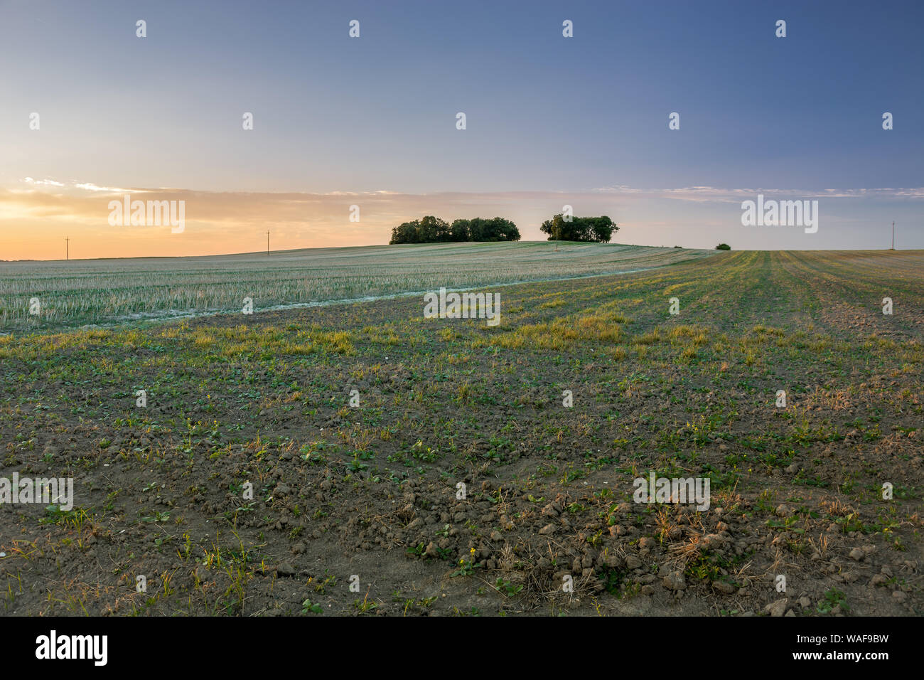 Evening sky autumn hi-res stock photography and images - Alamy