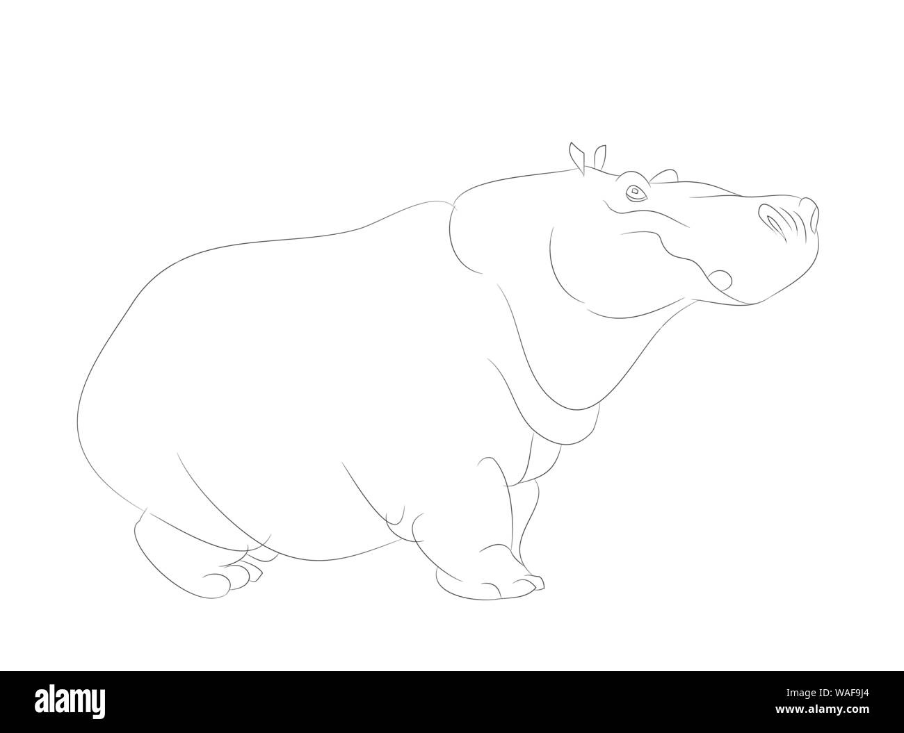 hippo is worth drawing lines, vector, white background Stock Vector ...