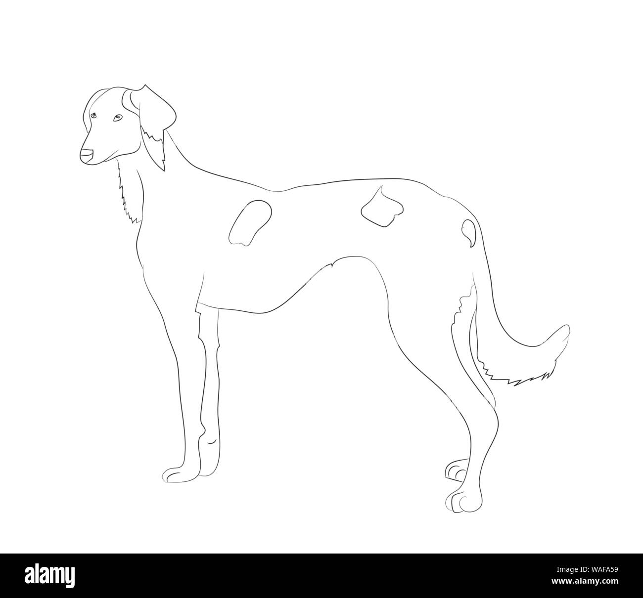 dog stands lines, vector, white background, dog stands Stock Vector ...