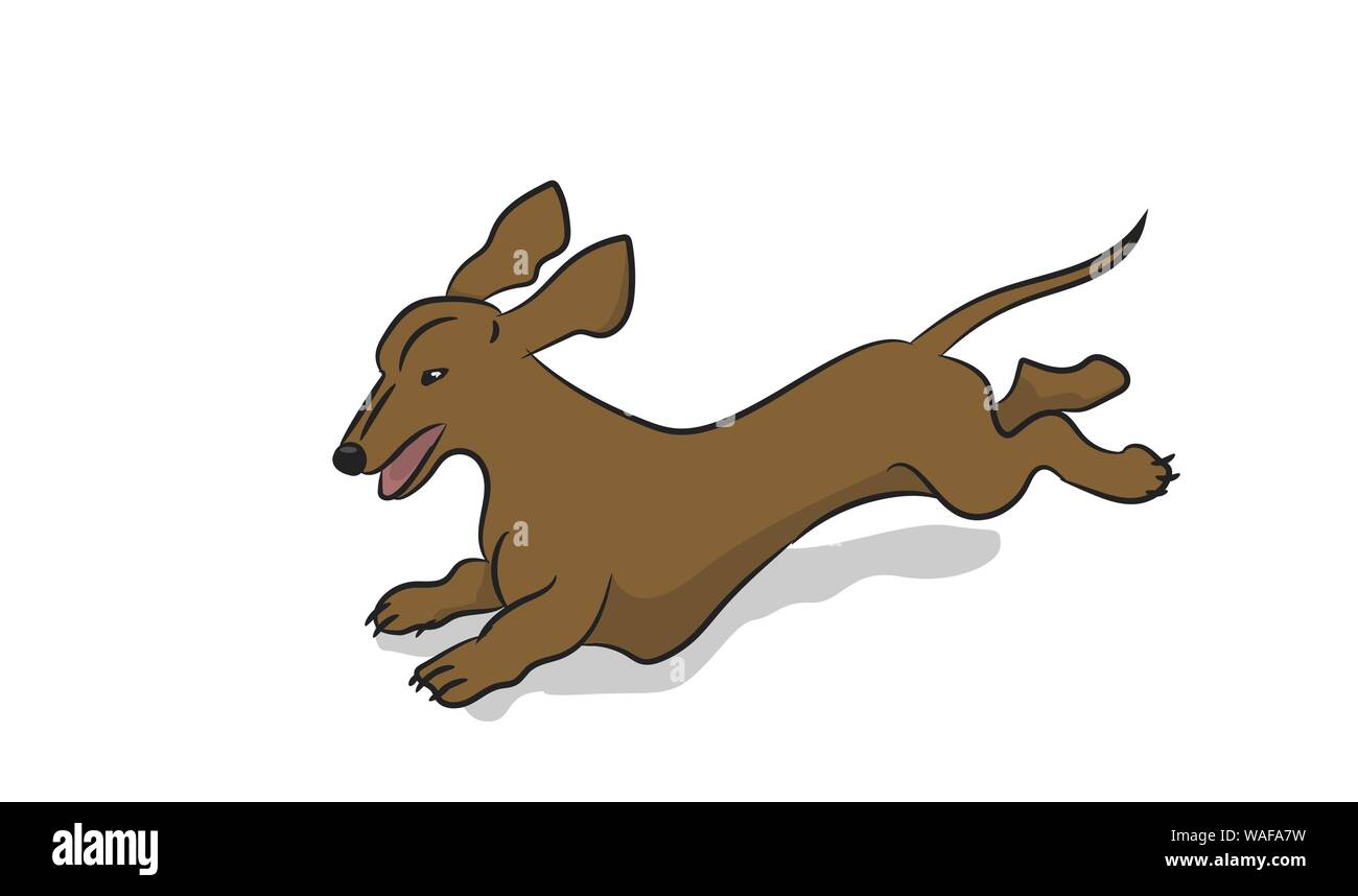 dog dachshund running, vector, White background Stock Vector Image ...