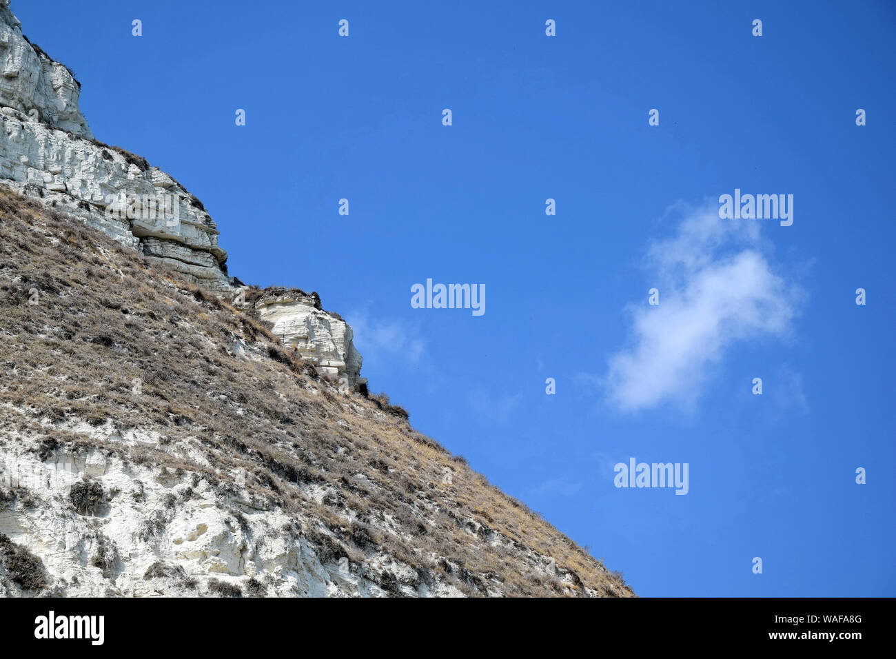 Great White Rock Chirakman Side View on Top Stock Photo - Alamy