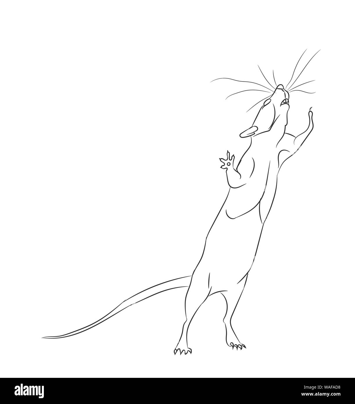 mouse lines, vector. White background Stock Vector Image & Art - Alamy