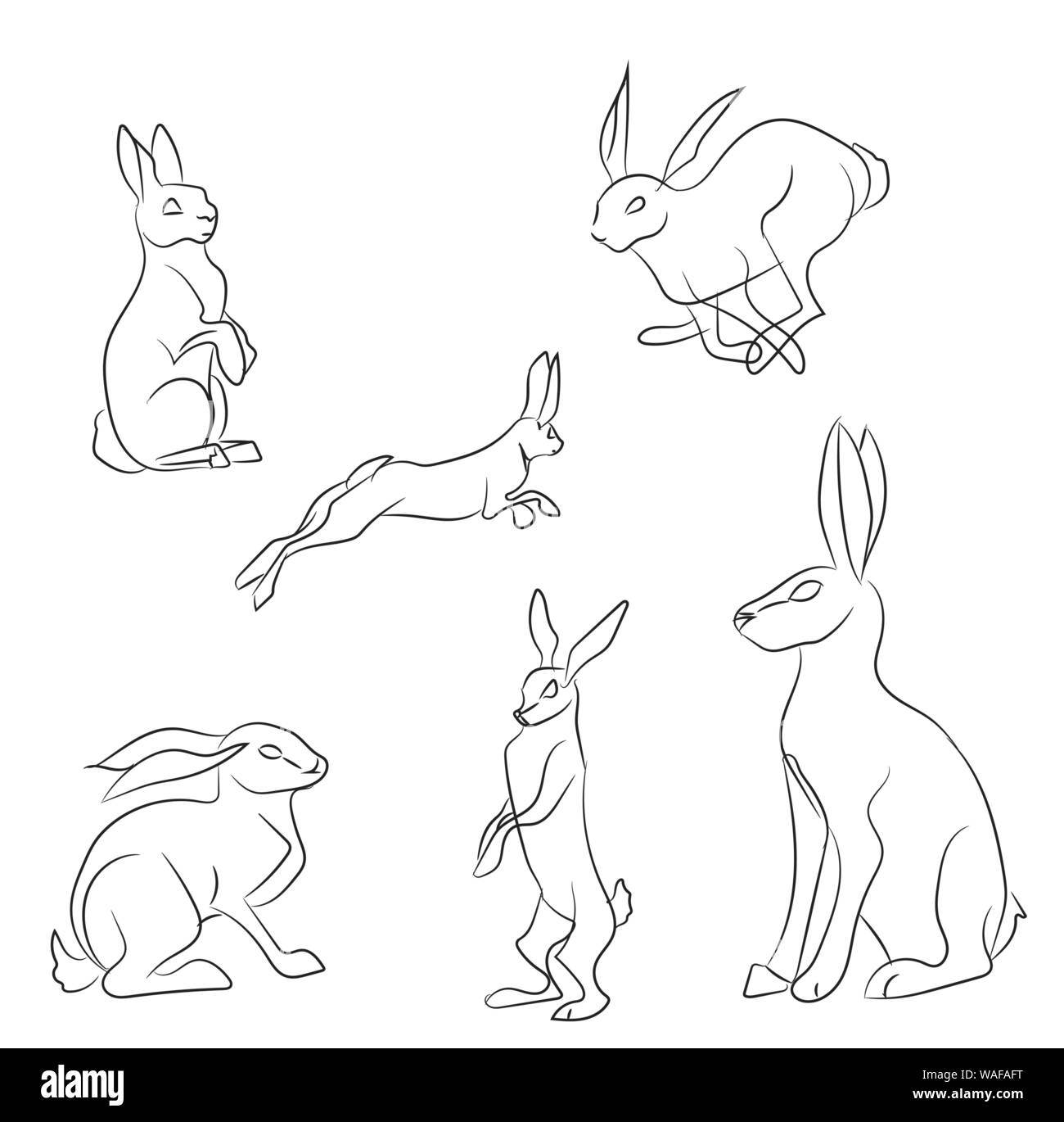 hare lines, vector, white background Stock Vector Image & Art - Alamy