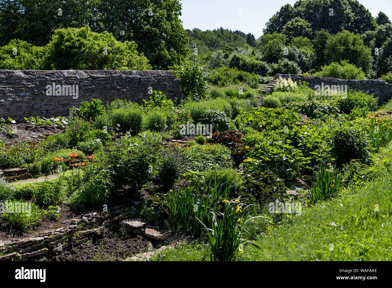 Beautiful landscape design in the Botanical garden of Tallinn, Estonia ...