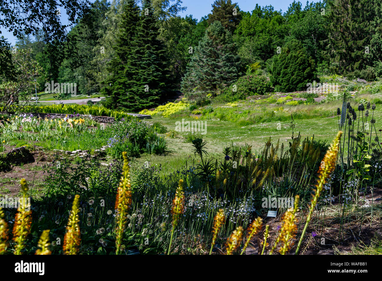 Beautiful landscape design in the Botanical garden of Tallinn, Estonia ...