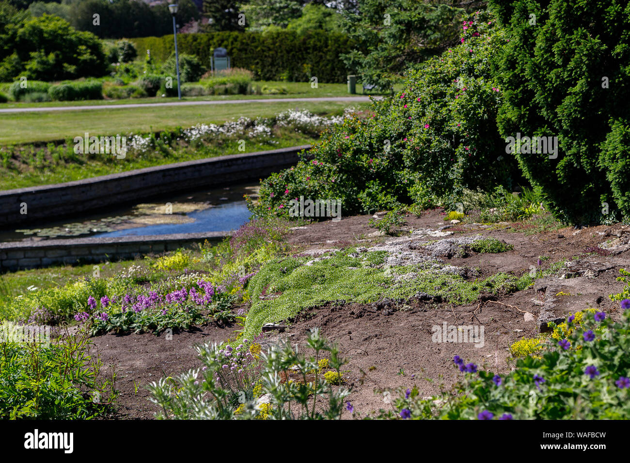 Tallinn botanical garden hi-res stock photography and images - Alamy