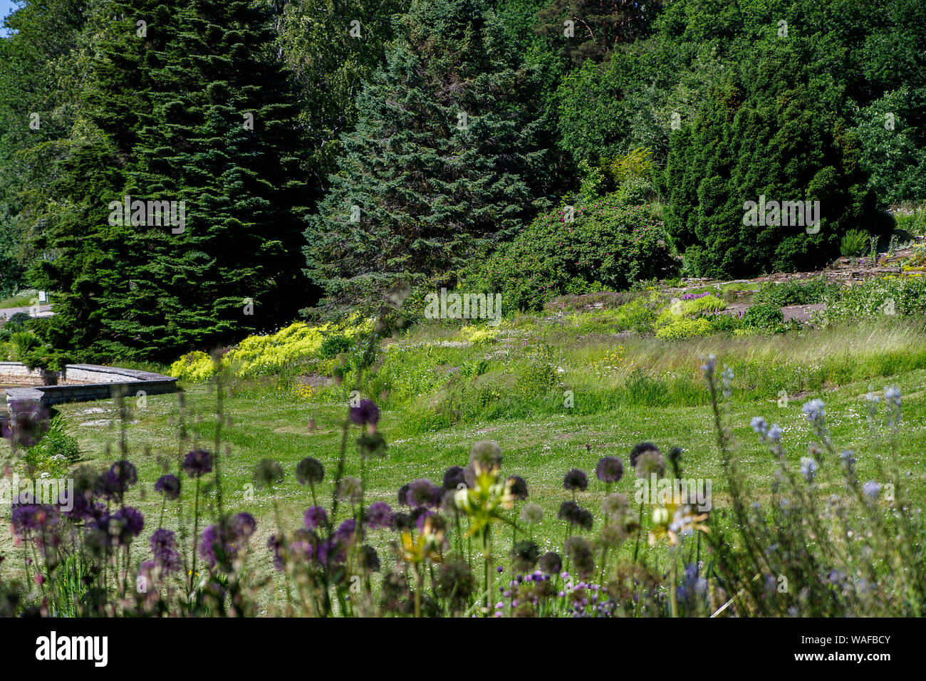 Beautiful landscape design in the Botanical garden of Tallinn, Estonia ...