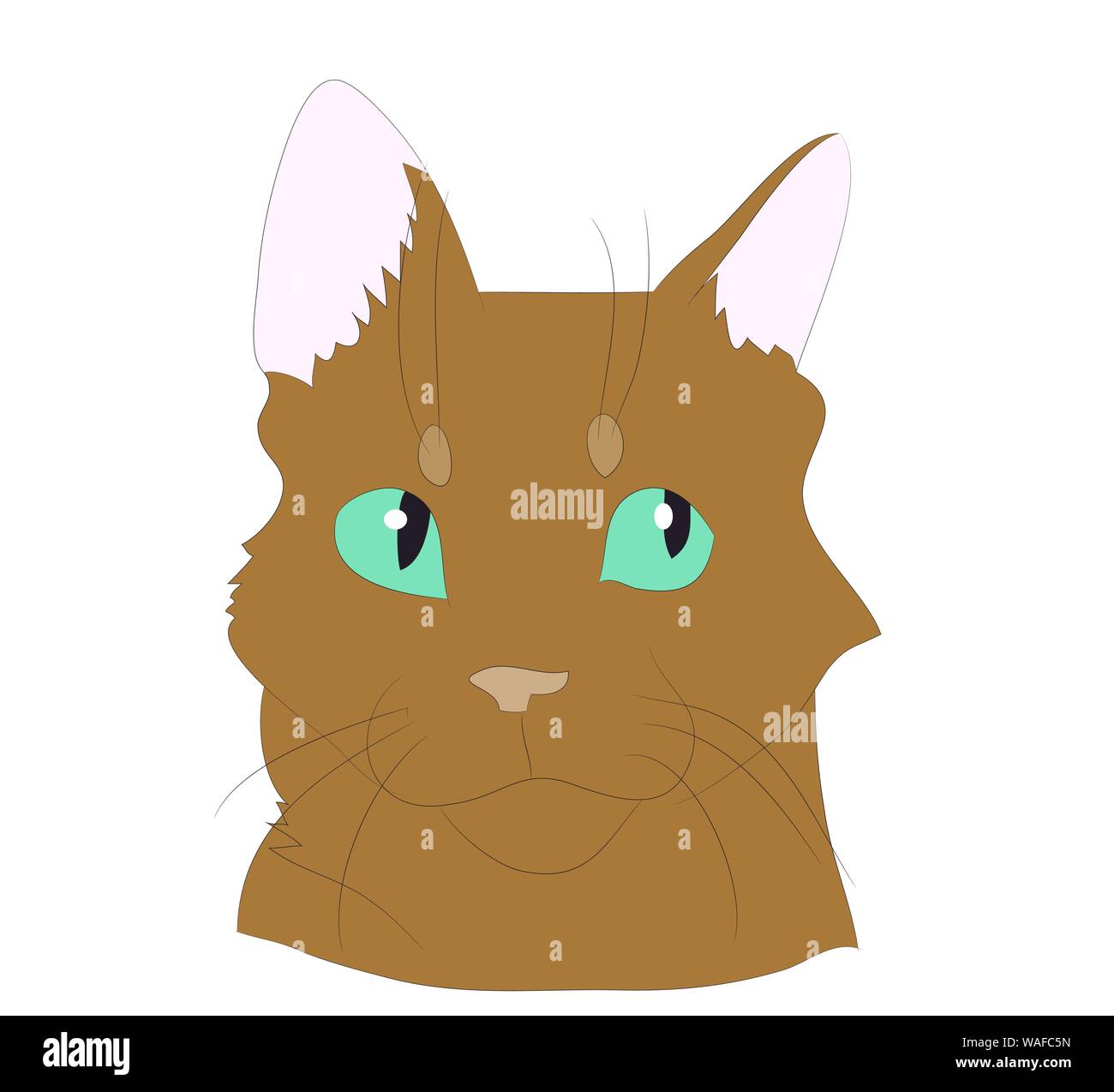 vector illustration cat portrait, vector, white background, color ...