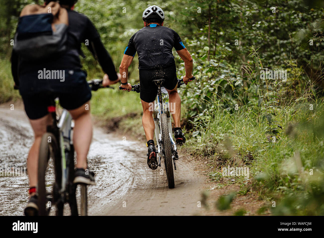 back two cyclists riding mountain bike on dirty trail in forest Stock ...