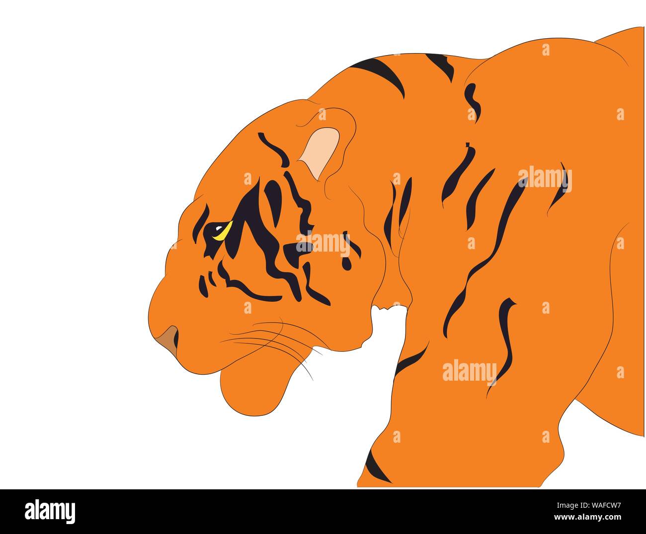 portrait of an orange tiger, vector, white background Stock Vector ...